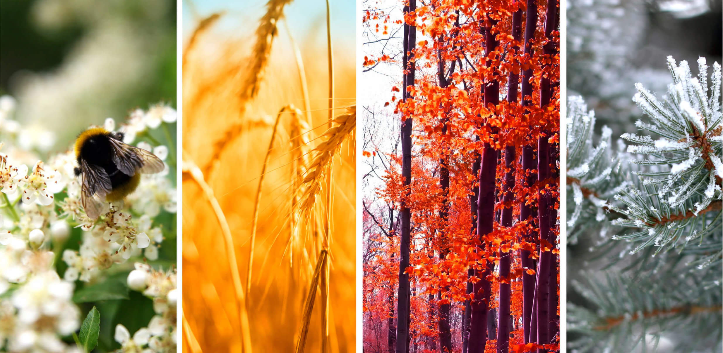 PROPANE SALES & SERVICE - Spalding Gas